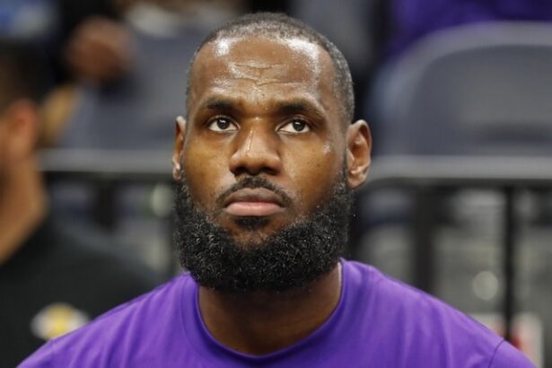 New Twitter Blue Verification System Resulted In Fake LeBron James Tweet