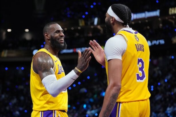 Lakers News: Anthony Davis Had 'Fanboy Moment' Watching LeBron James ...